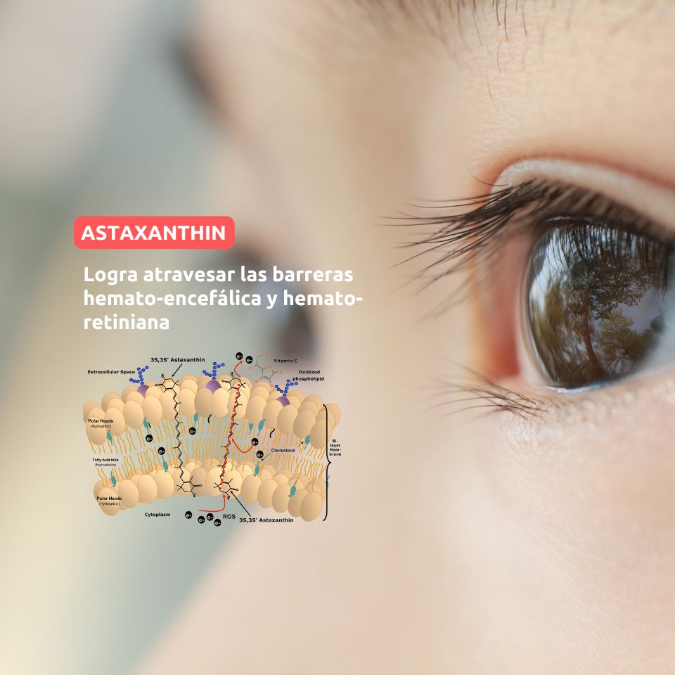 Salud ocular - Bionutrec.com